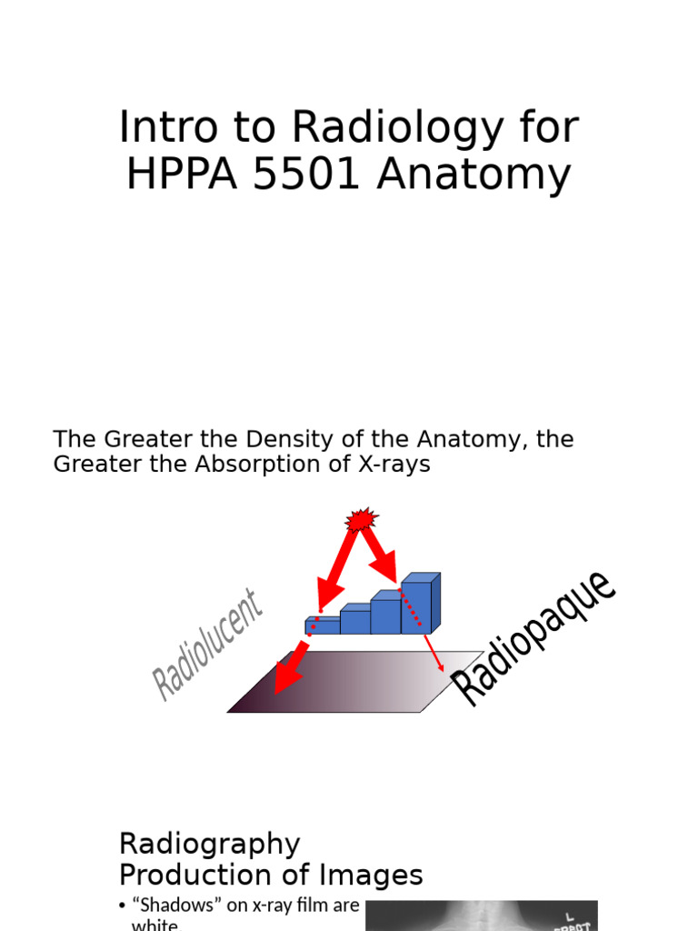 Anatomy Radiology Basics | PDF | Radiography | Ct Scan