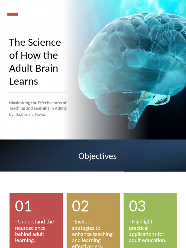 Adult Brain Learning Strategies | PDF | Learning | Adult Education