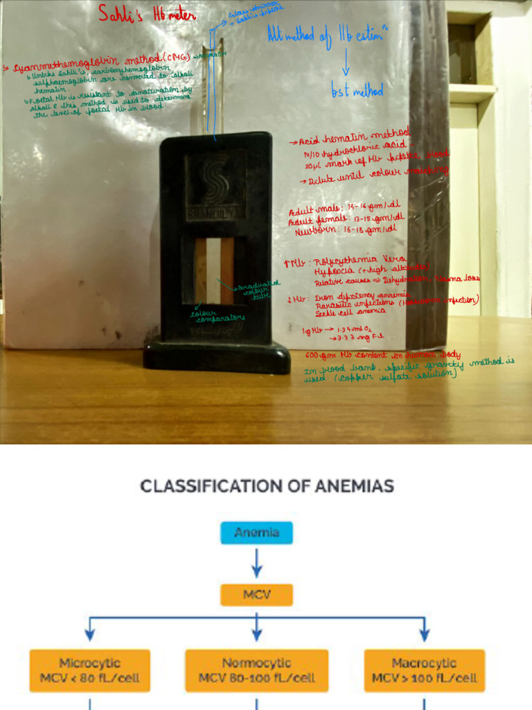 Patho Instruments | PDF | Staining | Pathology