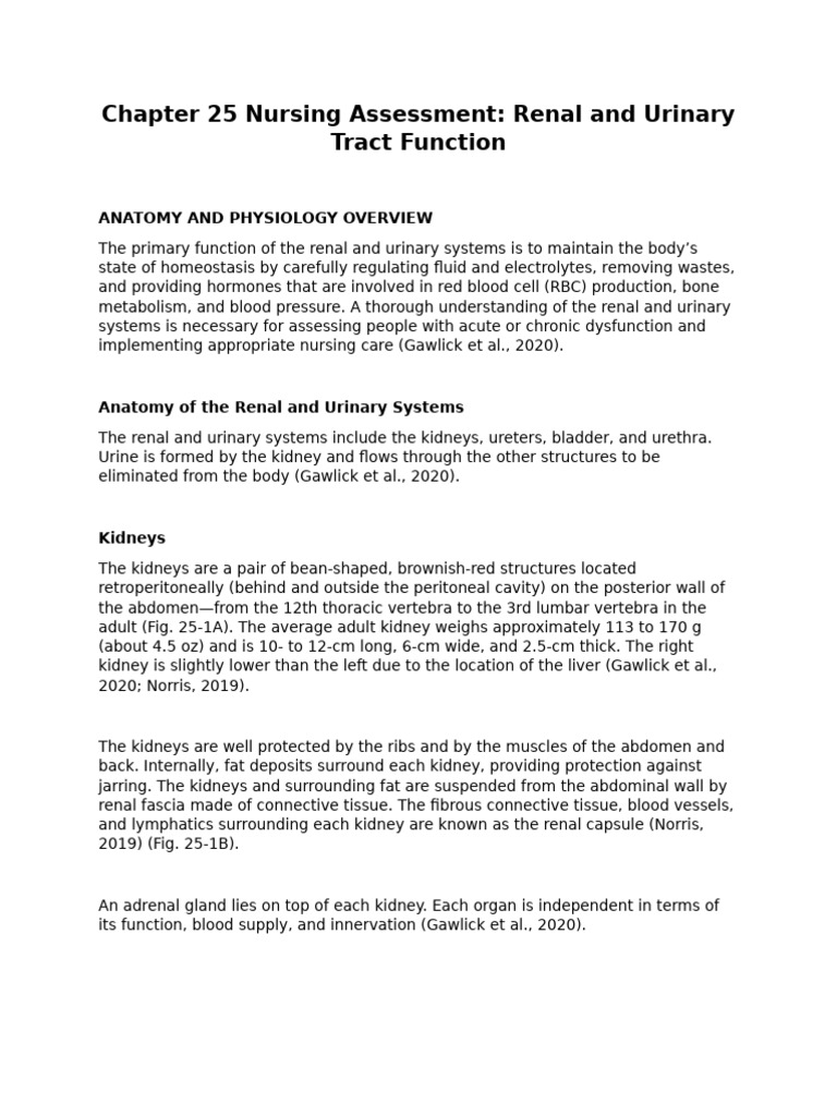 Chapter 25 Nursing Assessment Renal and Urinary Tract Function | PDF ...