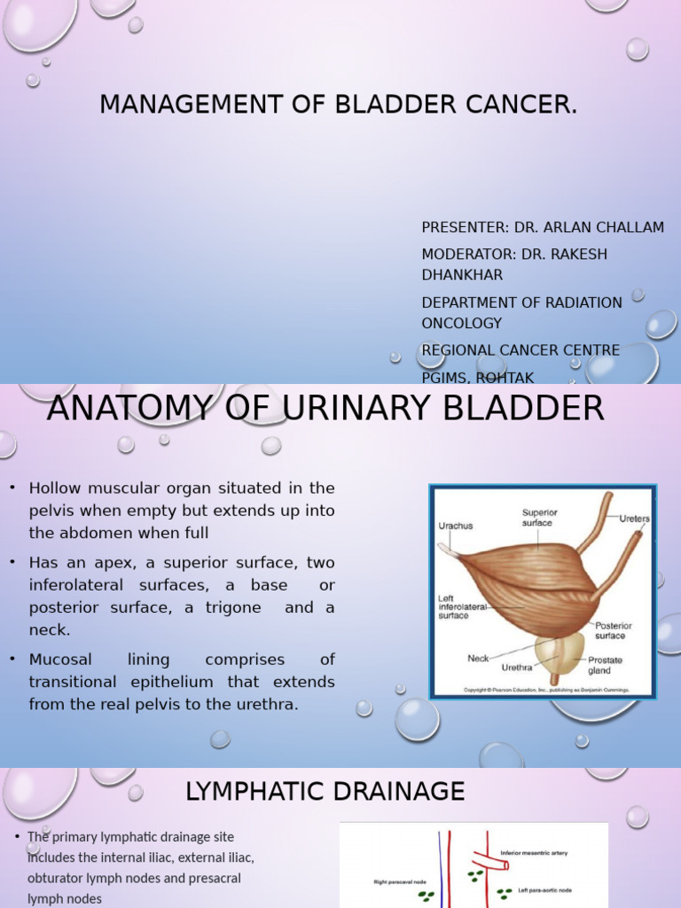 Dr. Arlan's 4th Seminar. Management of Bladder Cancer. 18-10-92 | PDF ...
