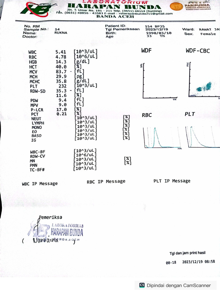 Hasil Lab Mak Zahid | PDF