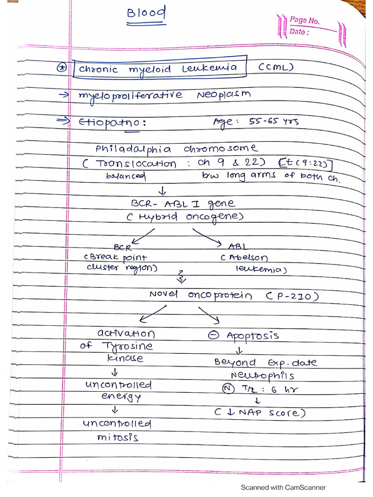 CML | PDF