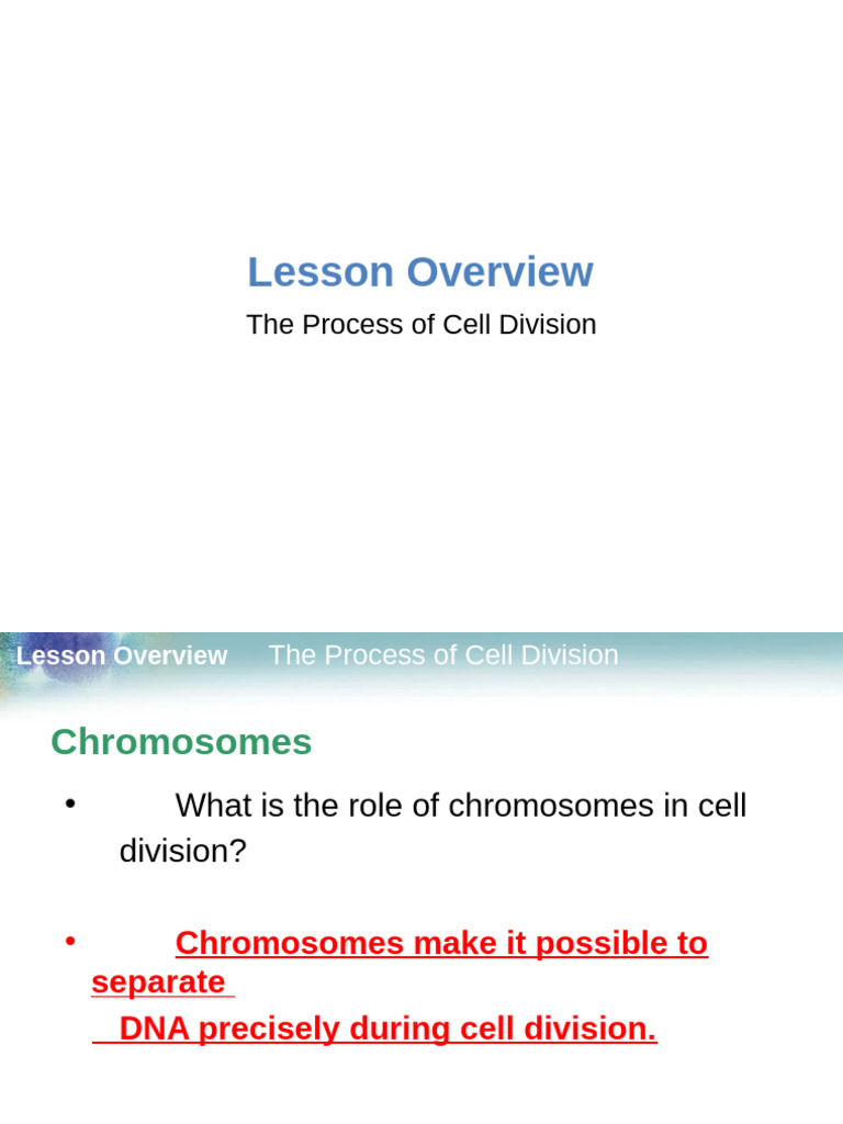 Understanding Cell Division Processes | PDF | Mitosis | Cell (Biology)