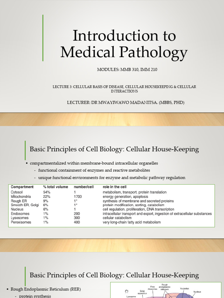 PATH Lecture 3 - Cell Pathology, Housekeeping Interactions | PDF | Cell ...