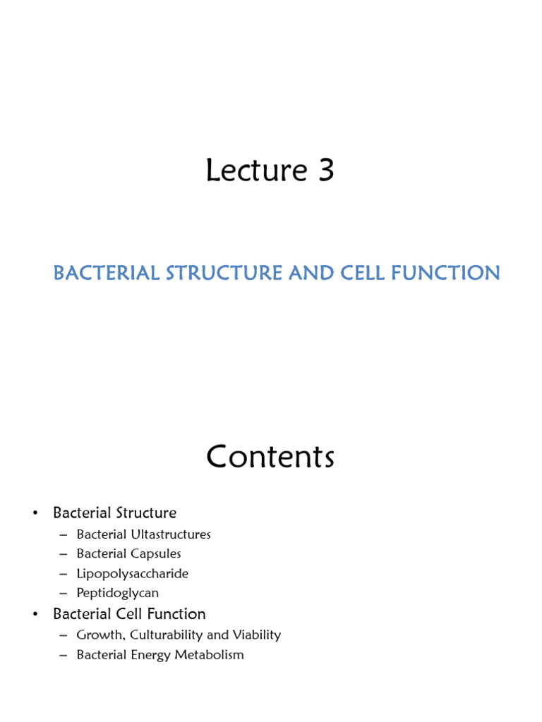 Bacterial Structure and Function | PDF | Lipopolysaccharide | Bacteria