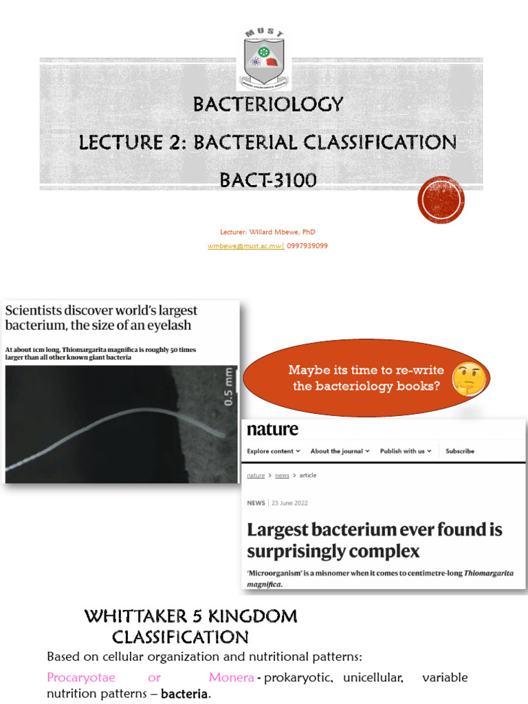 Bacterial Classification Overview | PDF | Bacteria | Lipopolysaccharide