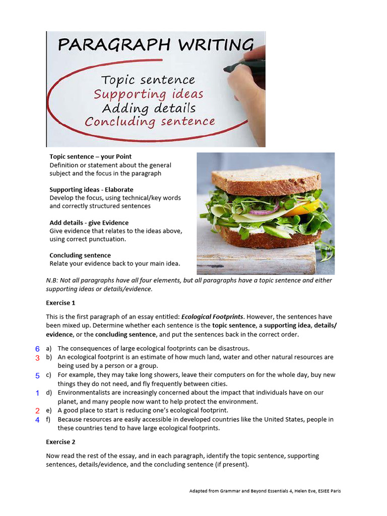 Structuring Effective Paragraphs in Essays | PDF