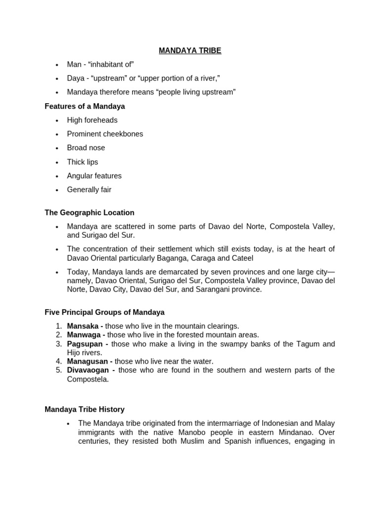 MANDAYA TRIBE | PDF | Blouse | Clothing