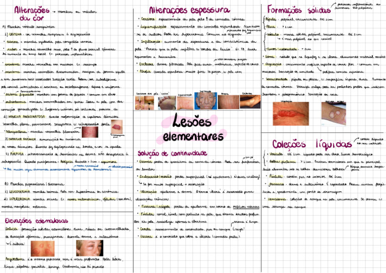 lesões elementares da pele | PDF