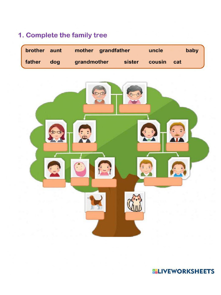 Family He She - English for Kids | PDF
