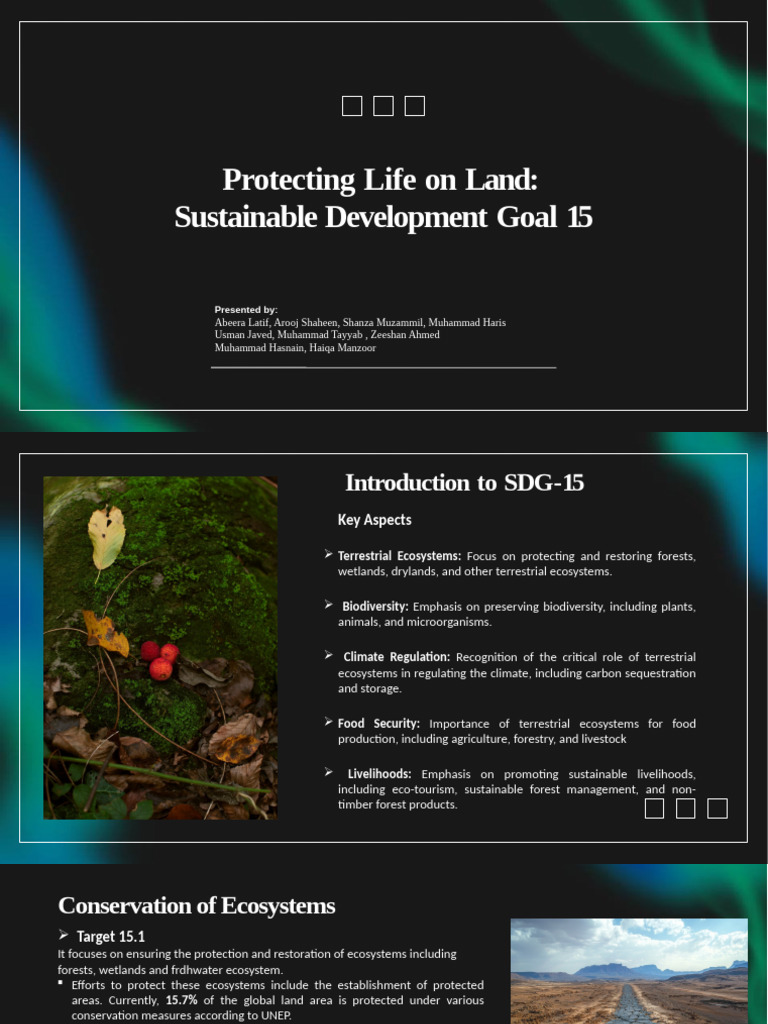 SDG 15: Protecting Life on Land Strategies | PDF | Sustainability ...