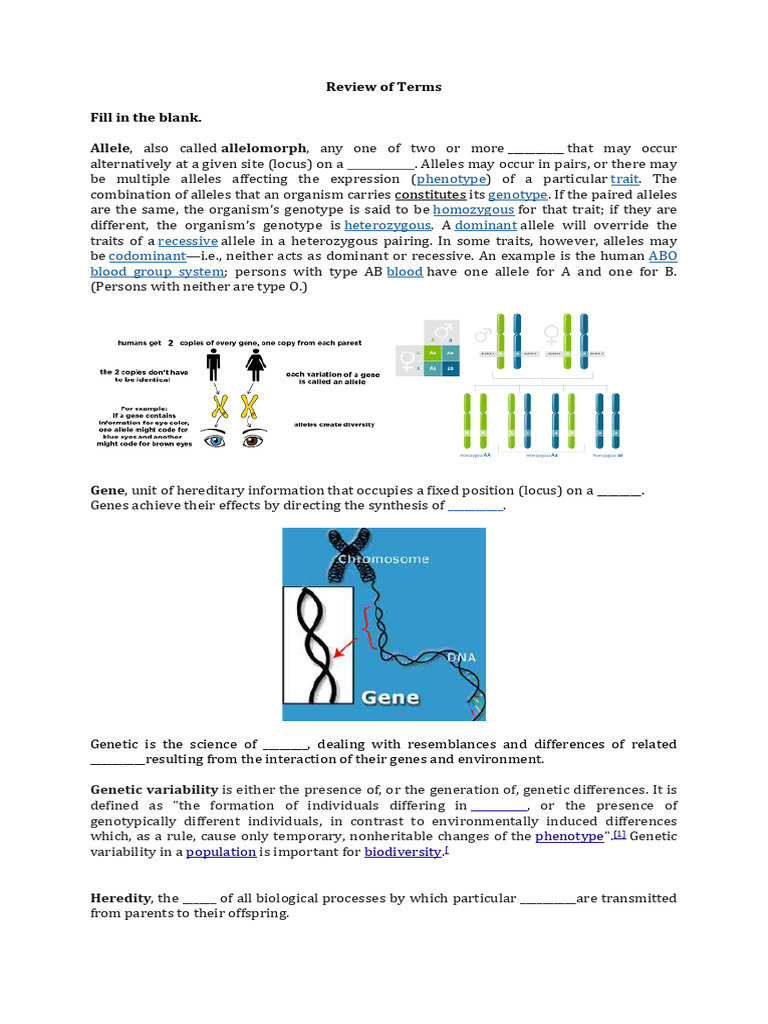 Worksheet #1 | PDF | Allele | Dominance (Genetics)