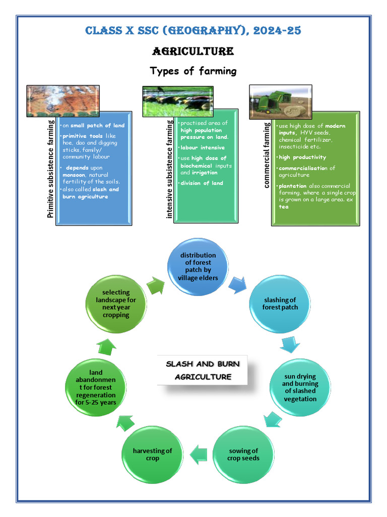 AGRICULTURE | PDF | Agriculture | Crops