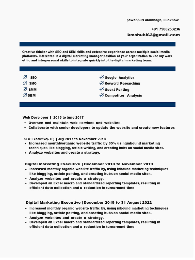 Digital Marketing Executive Profile | PDF | Digital Marketing | Search ...