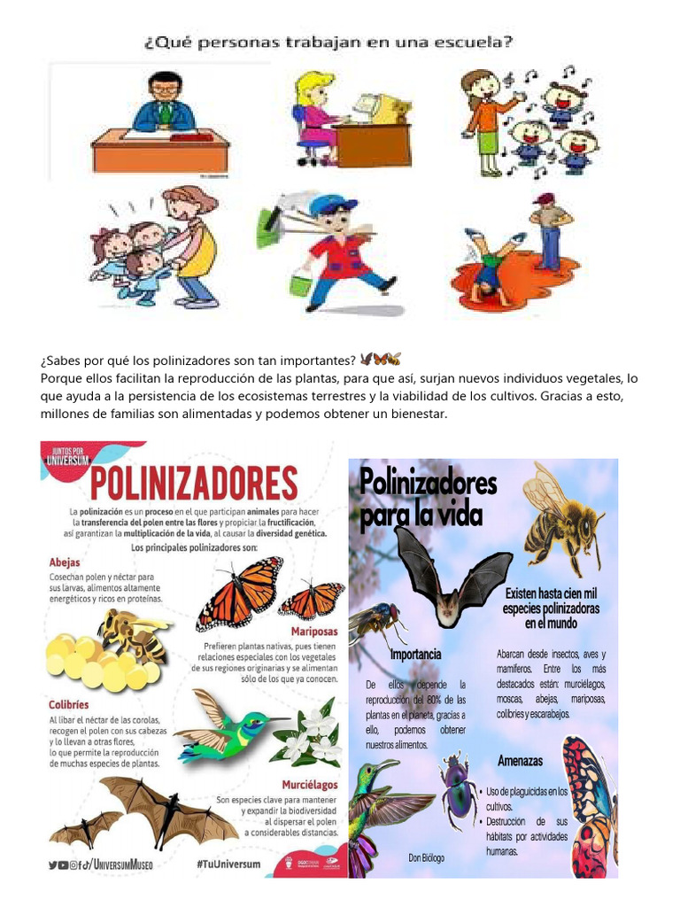 Importancia de los Polinizadores | PDF