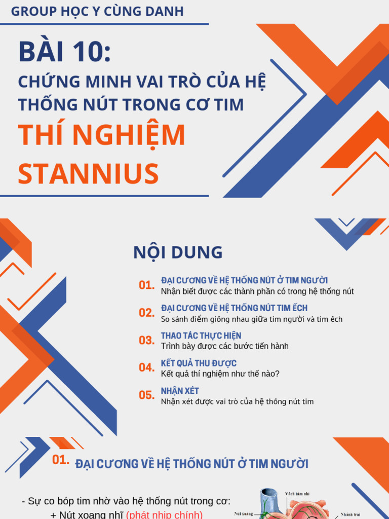 Chứng Minh Vai Trò Của Hệ Thống Nút Trong Cơ Tim (Thí Nghiệm Stannius ...