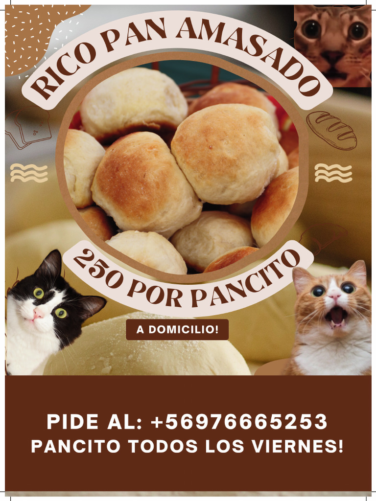 memes youtube e instagram (Flyer A4) | PDF