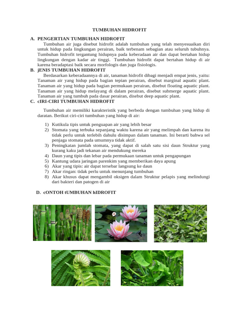 Tumbuhan Hidrofit, Xerofit, dan Higrofit | PDF