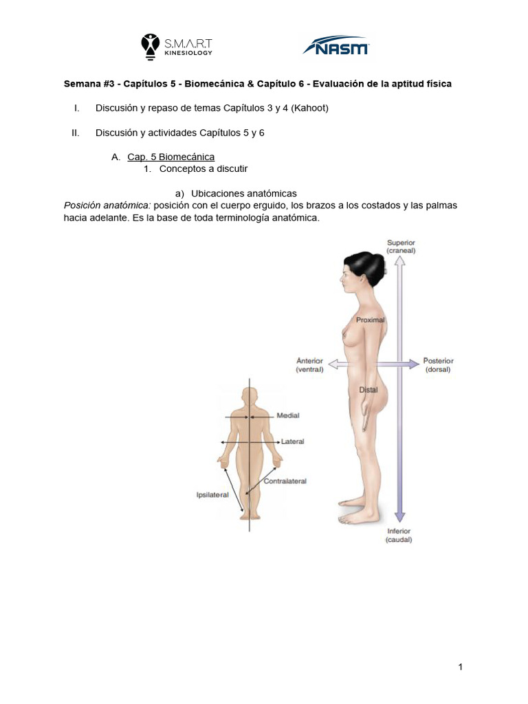 NASM CPT Guia de Estudio para Semana #3 - Cap 5 y 6 | PDF | Tejido adiposo