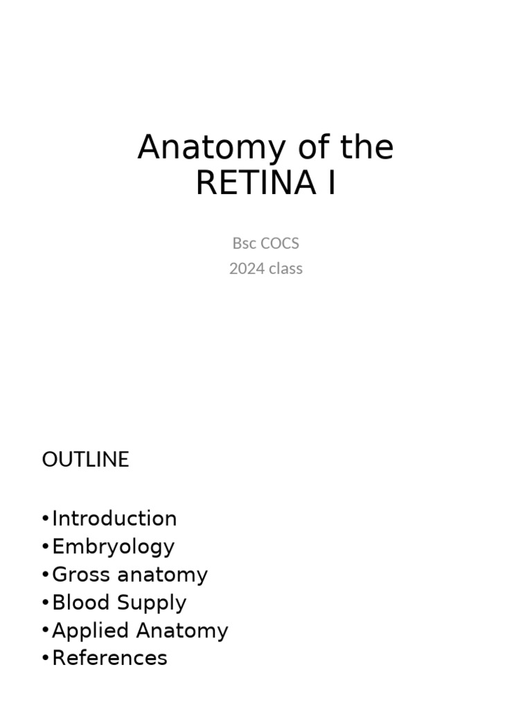 Anatomy of The RETINA 1 | PDF | Retina | Ophthalmology