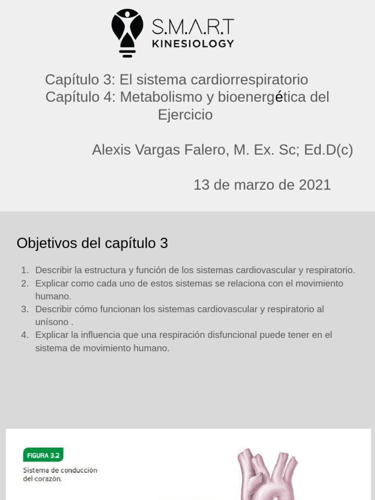 NASM CPT Guia de Estudio Semana 2-CAP 3 y 4 | PDF | Trifosfato de adenosina | Metabolismo