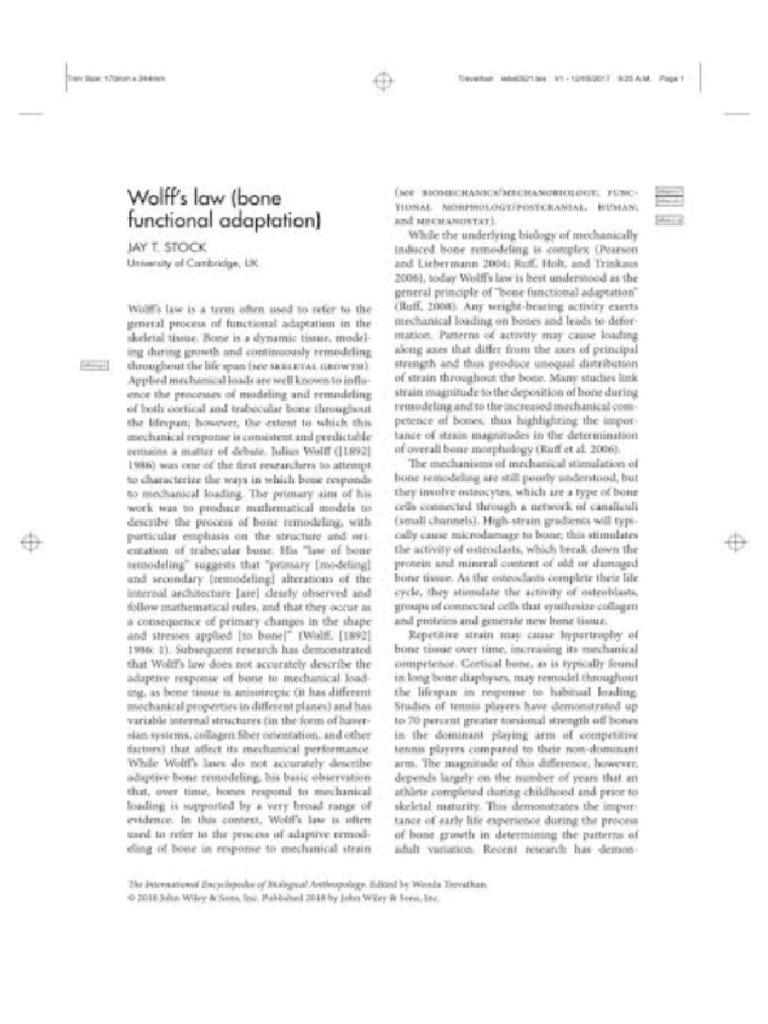Wolf Law | PDF