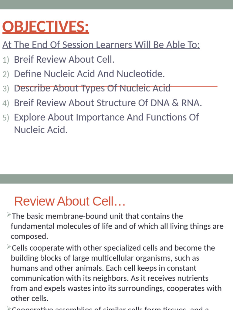 Understanding Nucleic Acids and Cells | PDF | Rna | Nucleic Acids