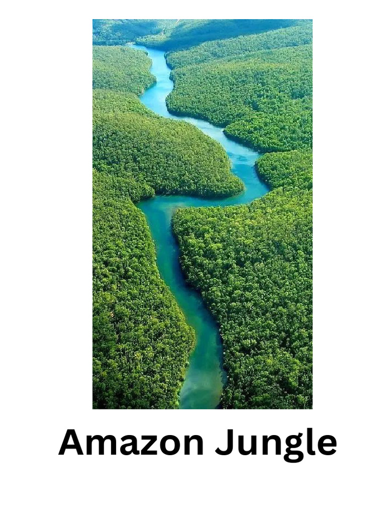 Amazon Jungle: Biodiversity and Facts | PDF | Amazon Rainforest ...