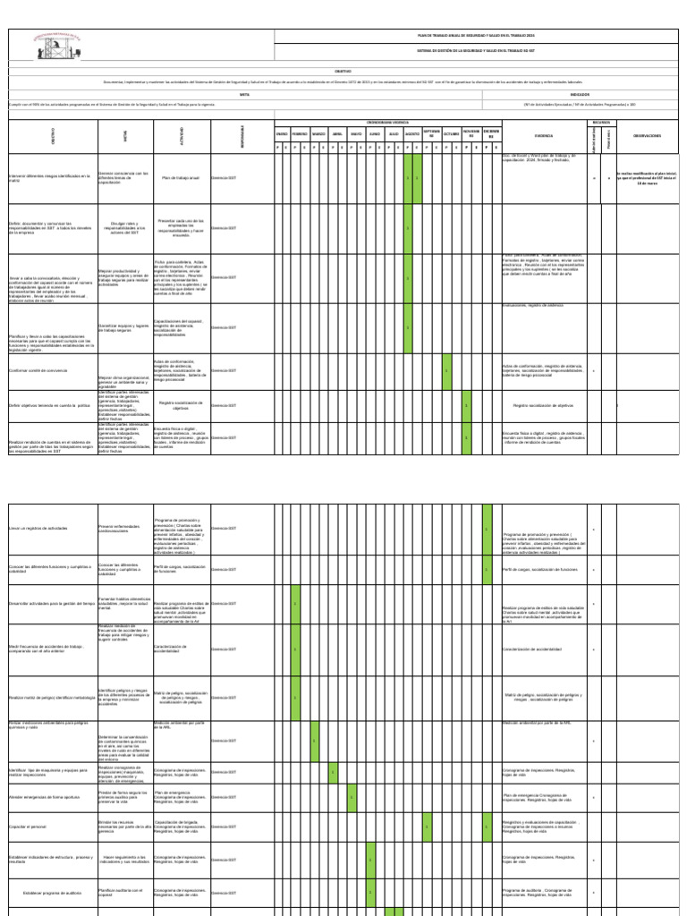 Plan SST 2024: Seguridad y Salud | PDF | ruido | Enfermedades cardiovasculares