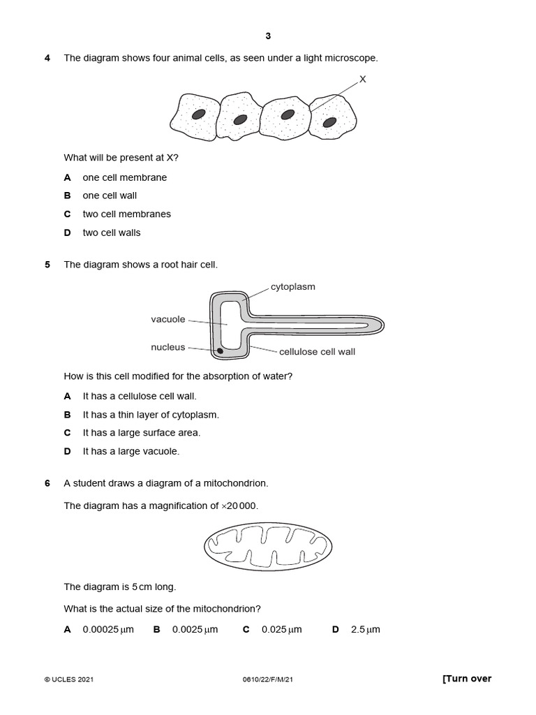 0610 m21 Qp 22.PDF CAIE PapaCambridge Pg3 | PDF