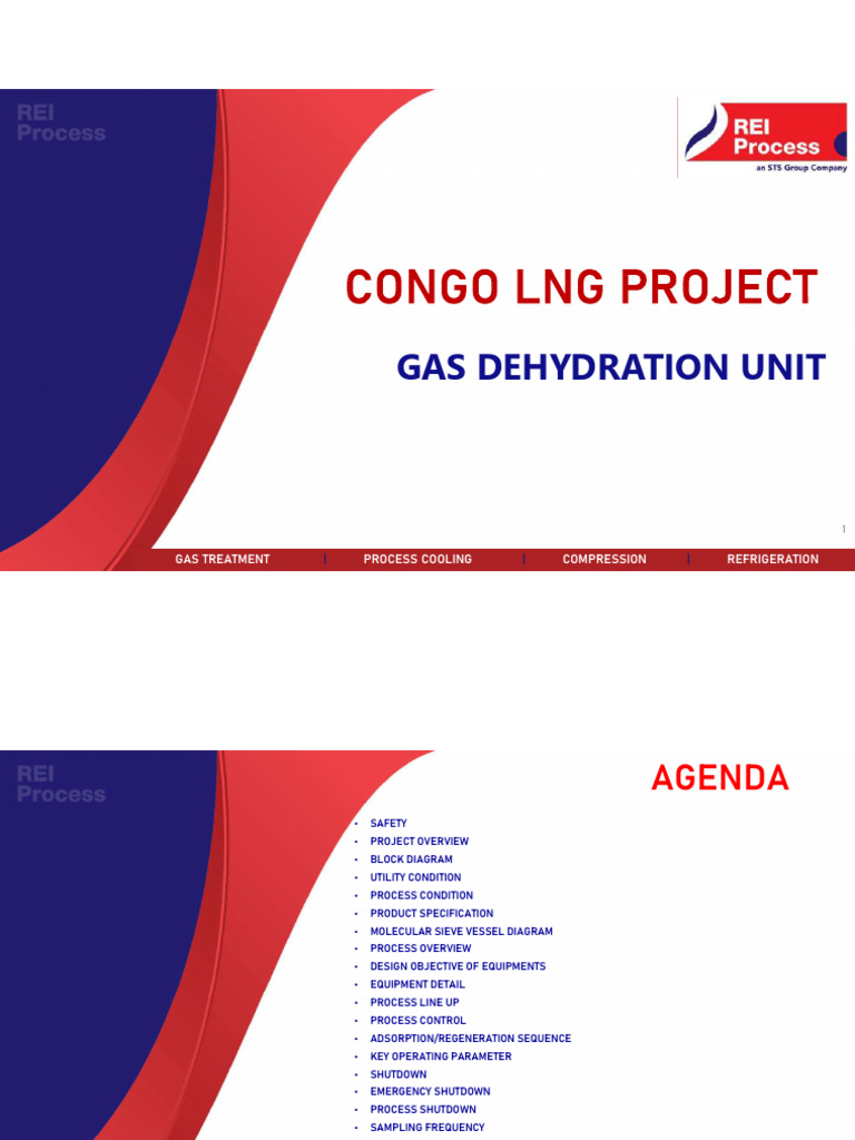 Day 3&4 CONGO LNG PROJECT - GDU Final - Rev1 | PDF | Dangerous Goods ...