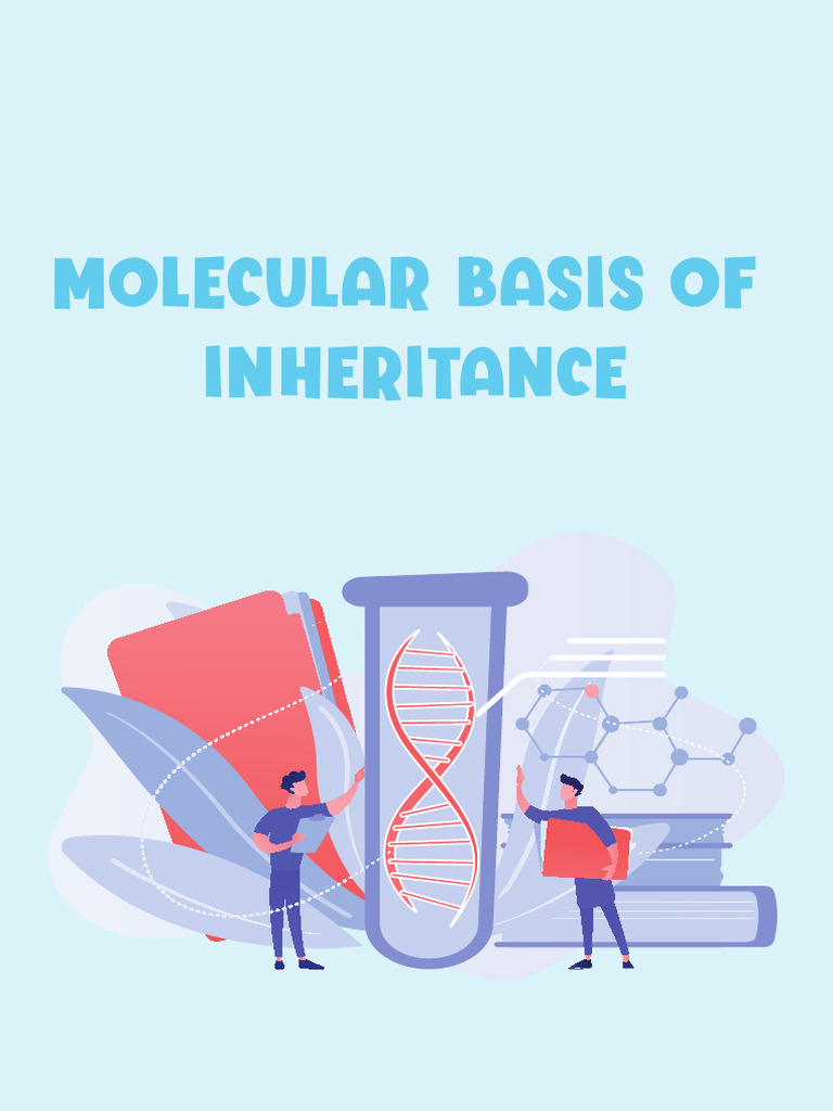 Molecular Basis of Inheritance - 8139cb88 9147 44cc 9f55 C47febc66189 ...