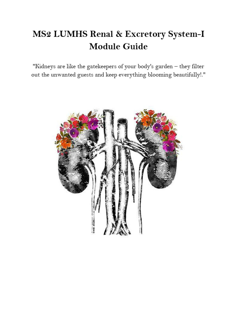 MS2 LUMHS Renal and Excretory | PDF | Kidney | Urinary System