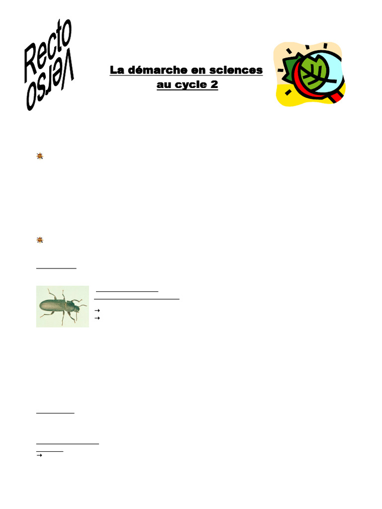 Démarche scientifique au cycle 2 | PDF | Expérience | Science