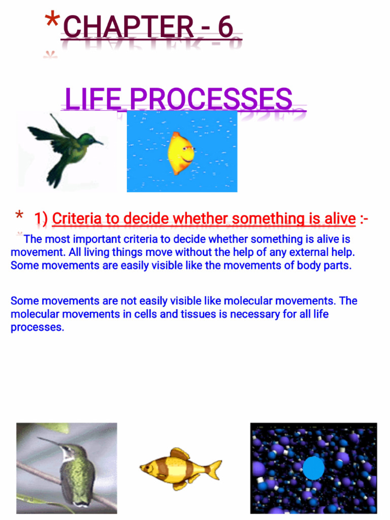 6 Life Processes | PDF