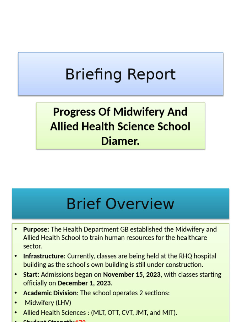 Briefing Report | PDF