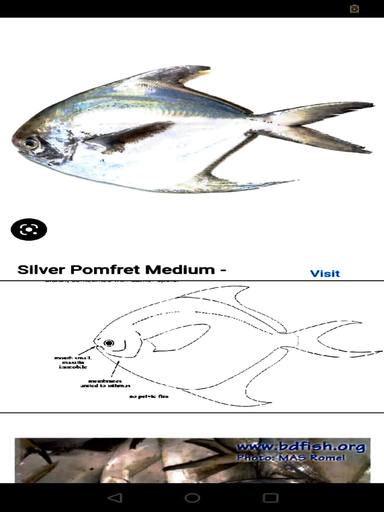 Adobe Scan 13 Mar 2023 | PDF | Tuna | Fish