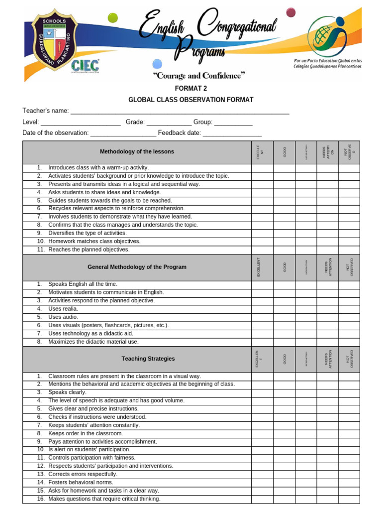 FORMAT 2 - GLOBAL OBSERVATION- BY AREAS | PDF | Attention | Methodology