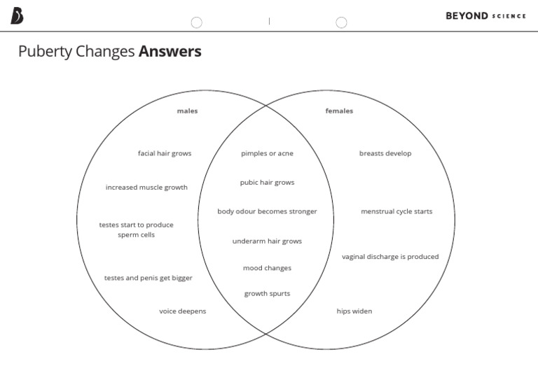 Puberty Changes Explained for Teens | PDF
