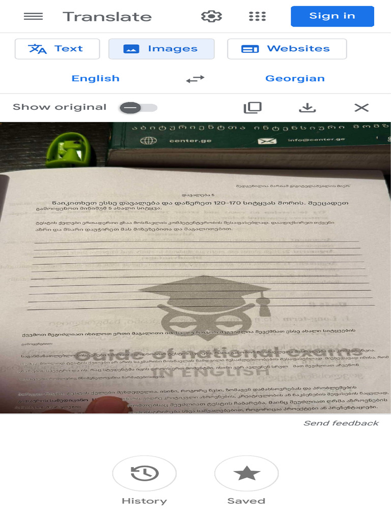 Google Translate | PDF