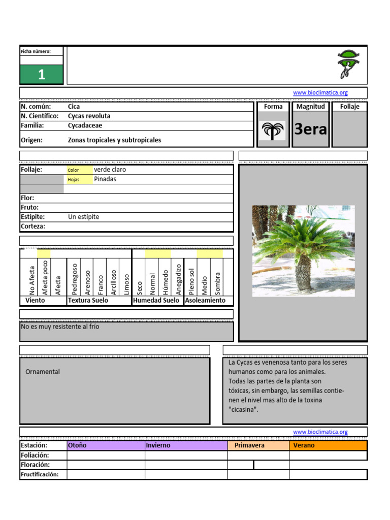 Palmeras | PDF | Arecaceae | Temporada de primavera)