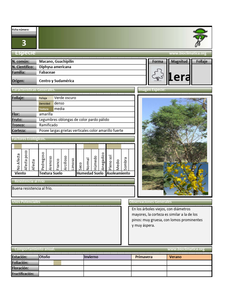 Primera Magnitud | PDF | Arboles | Temporada de primavera)