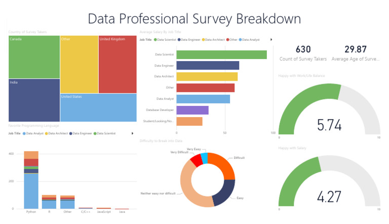 Data Professional Survey Breakdown Dashboard | PDF | Systems ...