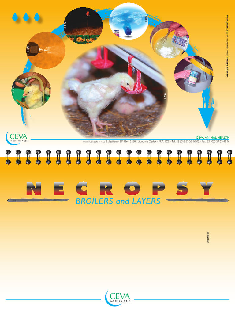 Ceva Necropsy Guide Broilers and Layers | PDF | Lung | Respiratory Diseases