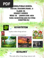 Sonoran Desert Ecosystem Guide | PDF | Food Web | Ecosystem