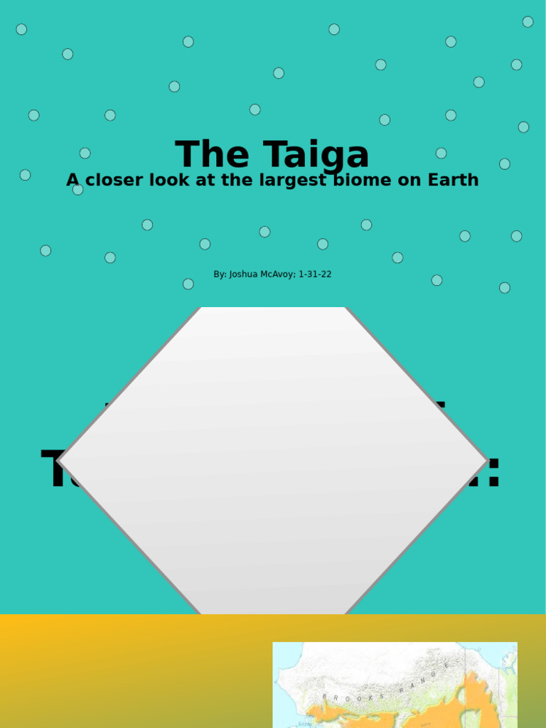 Understanding Taiga Biome Dynamics | PDF | Biogeography | Landscape