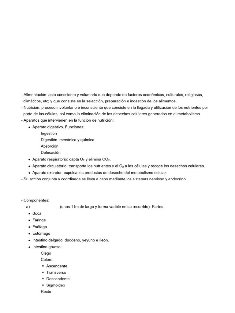 Tema03 3º | PDF | Digestión | Estómago