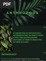 Tagmosis | PDF | Insects | Arthropodology