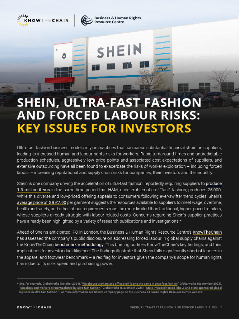 2024_Shein_briefing | PDF | Supply Chain | Risk